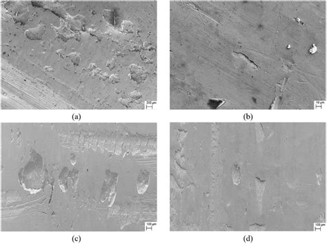 Tooth Surface Profile In Sem A The Full Lubrication Test B The Download Scientific