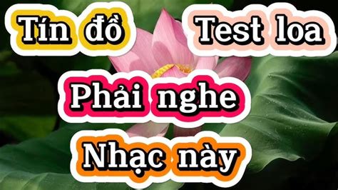 Test Loa Cha Cha Hướng Dẫn Toàn Diện Và Nhạc Kiểm Tra Âm Thanh Chuẩn