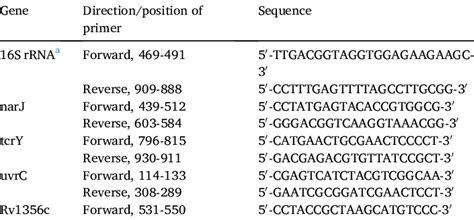 Primer Pairs Used To Amplify Cdna Download Scientific Diagram