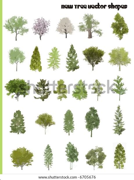 Tree Vector Shapes Stock Vector Royalty Free 6705676