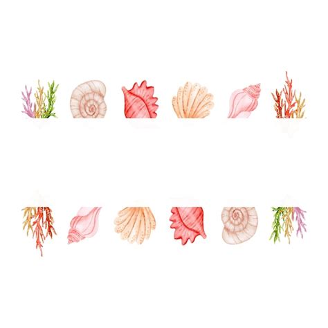 Premium Vector A Line Of Sea Shells With A Red Shell And A Green Shell On The Bottom
