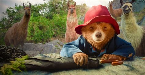 New Paddington 4 Update Is Great News Mandatory