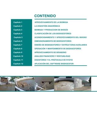 Biodigestores PDF