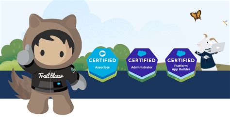 Best Salesforce Training And Resources Online In 2023 Aceaim