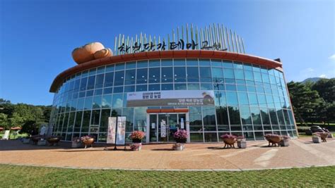창원 애견동반여행 단감에이드 체험을 할 수 있는 창원단감테마공원 네이버 블로그