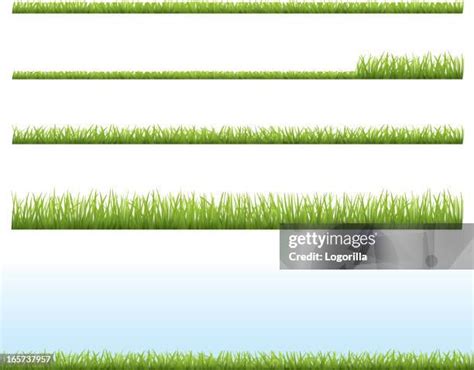 31445 Grass High Res Vector Graphics Getty Images