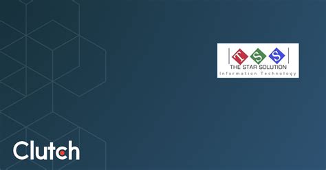 The Star Solution Services And Company Info