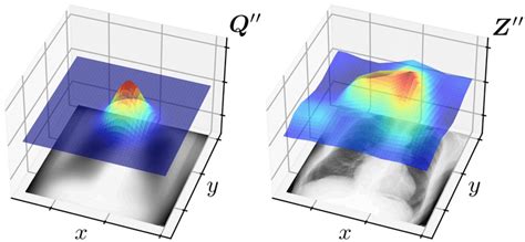 Discrete Probability Distributions Q ′′ And Z ′′ The Distribution Q