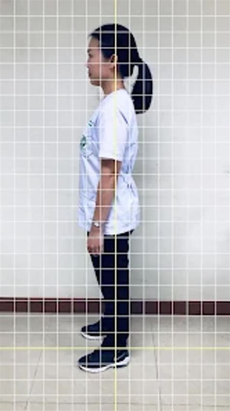 Grid Line Posture Analysis For Android Download