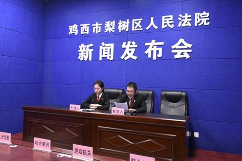 【工作落实年】梨树法院召开劳动争议案件新闻发布会澎湃号·政务澎湃新闻 The Paper