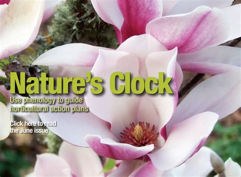 Making Use Of How Plants Tell Time Landscape Ontario