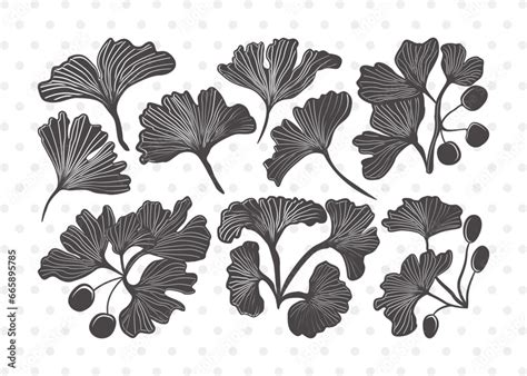 Ginkgo Leaves Clipart Svg Cut File Ginkgo Leaf Svg Ginko Biloba Svg