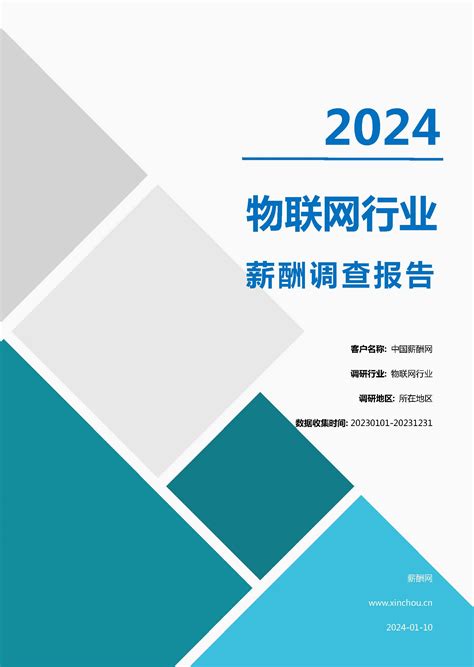 2024年物联网行业薪酬报告中国薪酬报告网站