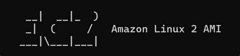 What Does The Ascii Art On The Amazon Linux 2 Ami Motd Mean Devops