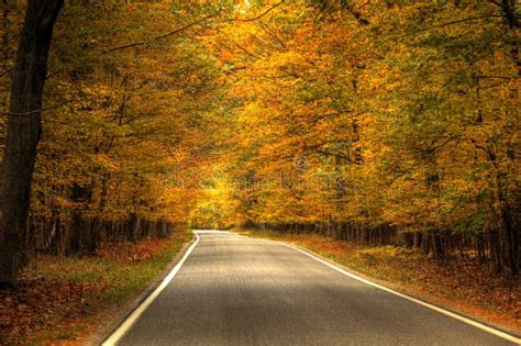 Beautiful Walkway In With Fall Colors In Michigan Usa Stock Image