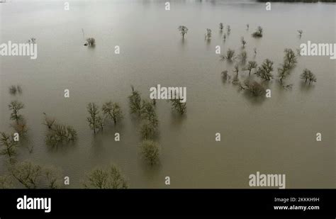 Trees Submerged In Flooded Landscape Stock Videos Footage HD And K Video Clips Alamy