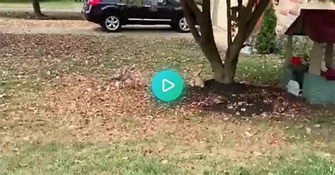Somethings Not Right Album On Imgur
