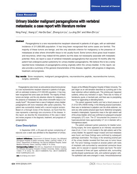 Pdf Urinary Bladder Malignant Paraganglioma With Vertebral Metastasis