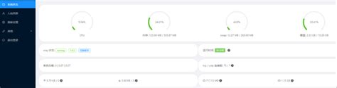 Xray面板设置分流，实现同一节点用不同ip访问不同的网站，vlessvmess使用shadowsocks或者socks节点分流，访问