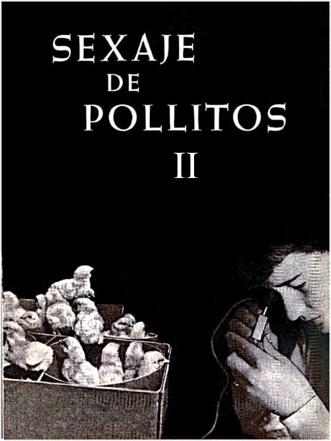 Gallina Castellana Negra Sexaje De Pollitos 2 Parte