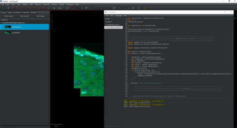 Qupath For Loop Through Images Of Project Issue Usage Issues