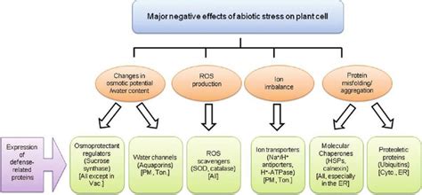Classification Of Abiotic Stress Related Proteins And Their Subcellular Download Scientific