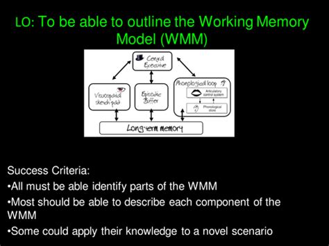 Models Of Memory Teaching Resources