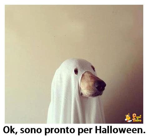 Costume Di Halloween Immagini Divertenti