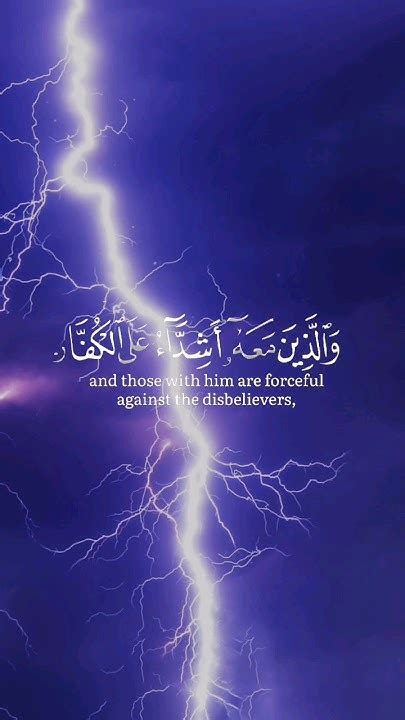 محمد رسول الله والذين معه أشداء على الكفار الجنة Youtube