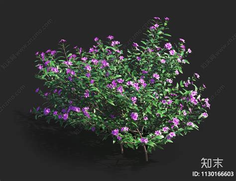 满天星3d模型下载【id1130166603】知末3d模型网