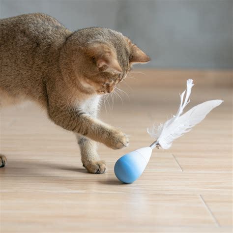 逗猫棒 晨露款 Pidan