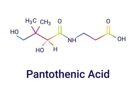 Pantothenic Acid Funny