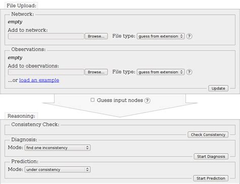 web interface for consistency checking diagnosis and prediction