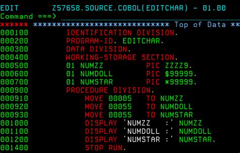當古董級 Cobol 遇上年輕 It 人 美百歲長者領取社會補助原來係誤會？ Pcm