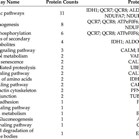 Kegg Pathway Analysis Of Deps Download Scientific Diagram