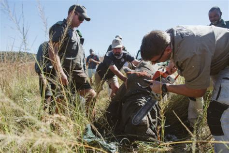 Protecting Endangered Species With Wildlife Act Globalgiving