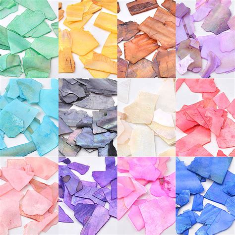 12 Kleuren Onregelmatige Shell Vlokken Set Natuurl Vicedeal
