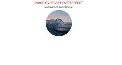 Image Overlay CSS Hover Effects OnAirCode