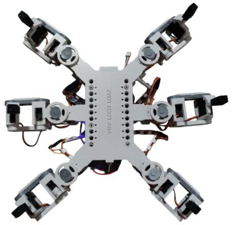 DIY Spiderbot Hexapod Robot Using ESP32 CAM FOV