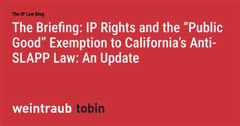 The Briefing: IP Rights and the “Public Good” Exemption to California’s Anti-SLAPP Law: An ...