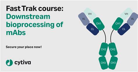 Richard Bossart On Linkedin Fast Trak Course Downstream Processing