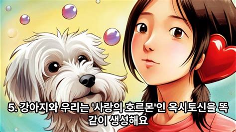 강아지에대한놀라운사실들2탄 사람과 강아지 Youtube