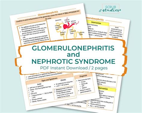 Nephrotic Syndrome Clinical Features Mnemonic