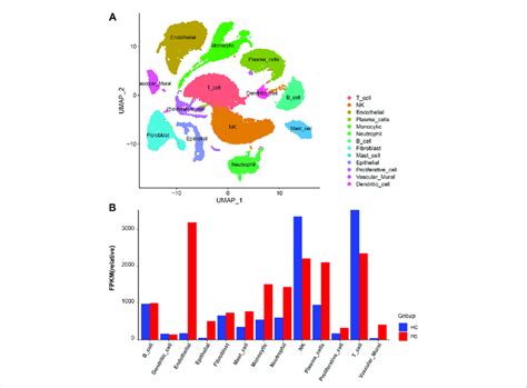 Scrna Analysis In Periodontitis A Umap Projection Of Cells In