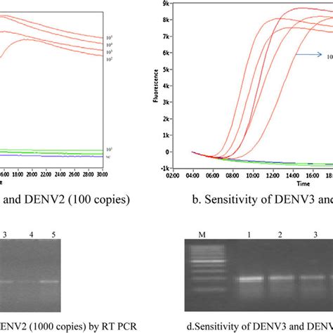 Comparative Sensitivity Of Rt Lamp Versus Rt Pcr For Detection Of The