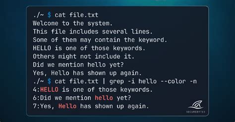 Linuxcommands Grep Infosec Codingtips Terminaltools Securebytes