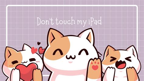 Cat Ipad Wallpapers 4k Hd Backgrounds On Wallpaperbat