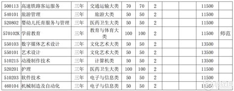 安徽扬子职业技术学院2022年分类考试招生章程 职教网