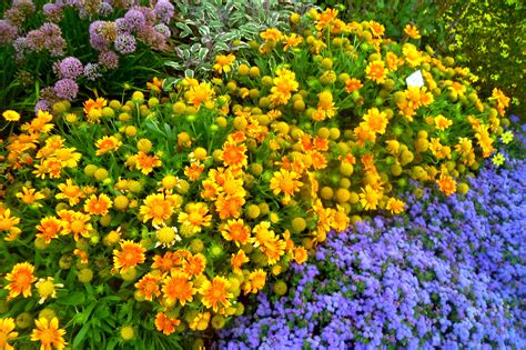 Raising My Vibrations With The Tree Of Life Necklace Just Brennon Blog