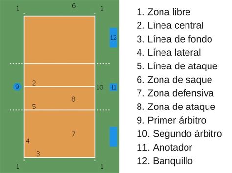 Medidas Del Campo De Juego Del Voleibol💖 Descubra O Emocionante Mundo